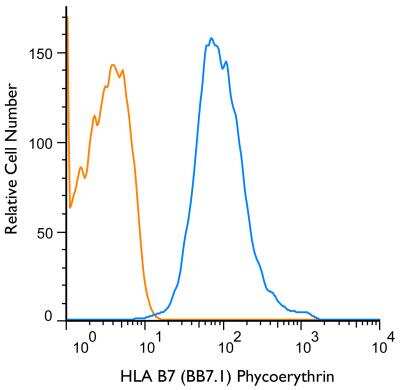HLA B7 Antibody (BB7.1) [PE] (NB100-64159PE): Novus Biologicals